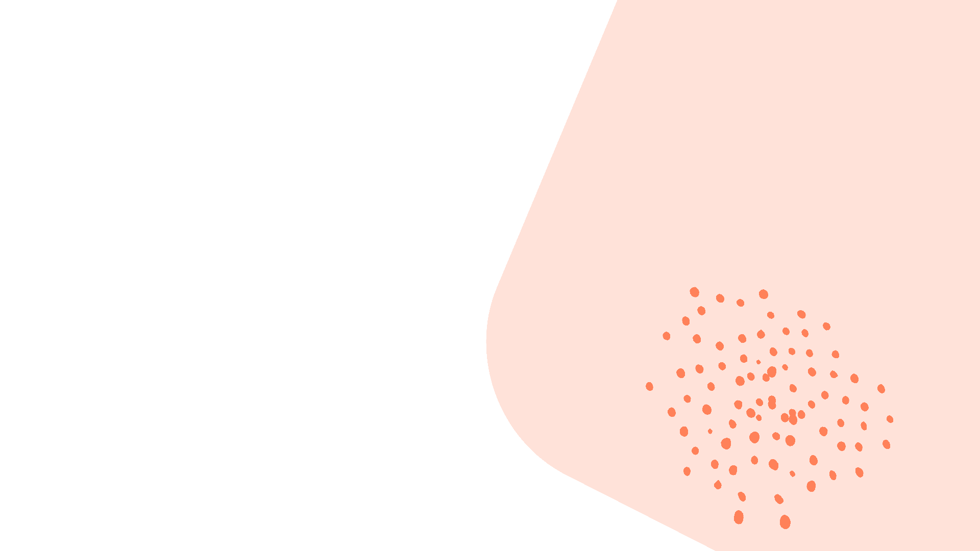 Background – Netbrux